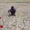 Government should immediately declare drought in Uttar Pradesh and Bihar