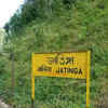 Jatinga: The Mysterious Village In Assam Where Birds Commit Suicide ...