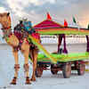 2024 Long Weekends In India: Plan Your Holiday Trips On These Dates