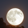 Rare Super Blue Moon 2023: Will Grace The Skies Tonight