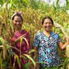 Women At The Centre Of Millet Revival Movement In Northeast India