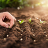 The Ultimate Guide From Sowing To Growing Seeds