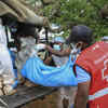 73 Dead In Kenyan Cult Who Starved Themselves To 'Meet Jesus'