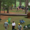 Golf Fans At The Masters Tournament Narrowly Avoid Injury As Giant ...
