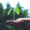 Different Types Of Gardening Methods