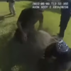 US: Police Officer Who Can't Swim Hailed A Hero After Rescuing Drowning ...