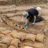 Archaeologists In Israel Find Rare 5,00,000-year-old Tusk From A Now ...