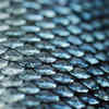 Sustainable LEDs For The Future Using Fish Scales Created By Japanese ...