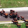 Herd Of Escaped Cows Causes Huge Traffic Jam On US Highway, Video Goes ...