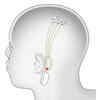 Paul Merolla, Chief Design Executive Behind Musk's Neuralink Quits Company