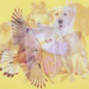 The Animal You See First Here Will Determine Your Personality Type