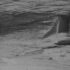 NASA's Curiosity Rover Finds A 'Doorway' On Mars: What Is This Strange ...