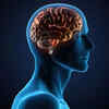 Covid-19 Traces Found In Internal Organs Of Patients Even After 230 Days