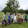 Jharkhand Men Carry Tree On Their Shoulders To Replant It, Picture Goes ...