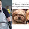 Elon Musk Stole A Dog Meme & Now The Owner Of The Dog Is Demanding A ...