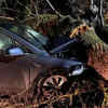 Tesla Car Amazingly Saves Family From Getting Crushed Under Giant Tree ...