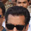 Blackbuck Poaching Case: Salman Khan Sentenced To 5 Years In Jail ...