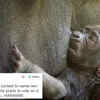 Philadelphia Zoo Asks Public To Name Its Latest Baby Gorilla, Gets Only ...