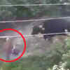 Man Provokes And Bullies Bison Then Runs For His Life When The Animal ...
