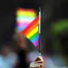 Seven Weird Reason People Gave To Prove That Homosexuality Should Not ...