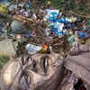 Vandalising Statues Left Right & Center To Stabbing A Judge Inside ...