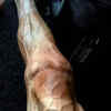 Cyclist Shares Photo Of Extremely Visible Veins In His Ripped Legs & It ...