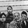 Holocaust Survivors Talk About The Random Acts Of Kindness That Saved ...
