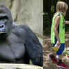 Prosecutors May Level Criminal Charges Against The US Zoo That Killed ...