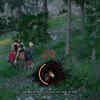Crimson Desert Horse Taming Guide: How to Tame a Wild Horse Easily