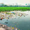 Plastic, not so fantastic