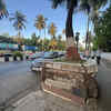 Green activists see red over concrete tree guard repairs