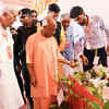 Dolphin rescue in UP highlighted on national platform