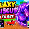 Roblox Build a Ring Farm Galaxy Hibiscus Guide Explains How to Get the ...