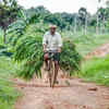 Delhi raises crop damage compensation for rain-affected farmers