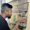 Pune, painted in timber