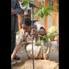 Delhi to launch mega tree plantation drive from June 22 with target of ...