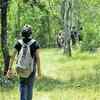 Private tour operators disturb peace at SGNP