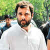 One Gujarat model that Rahul Gandhi fully endorses