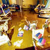 14 ICU patients died after power failure crippled ventilators