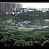 Aarey part of SGNP stand will help the green cause: NGOs