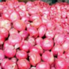 Over 40,000 applications received for 75 onion storage facilities in ...